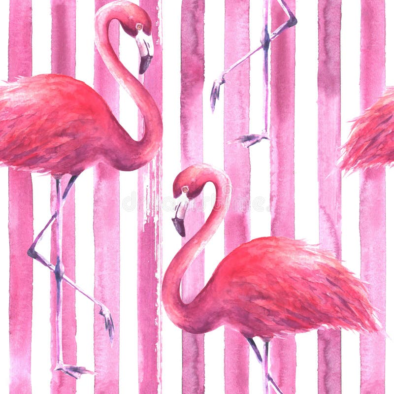 Flamingo Bird Background stock vector. Illustration of scrapbook - 50868685 Flamingo Bird Background stock vector. Illustration of scrapbook - 50868685