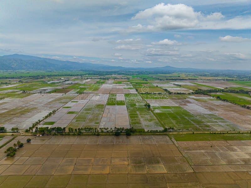 Tropical Farmland in the Philippines. Stock Image - Image of ...