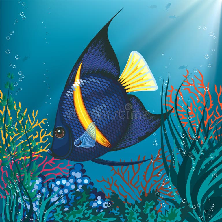 Tropical Fish Swimming Underwater Stock Illustrations – 94,537 Tropical ...