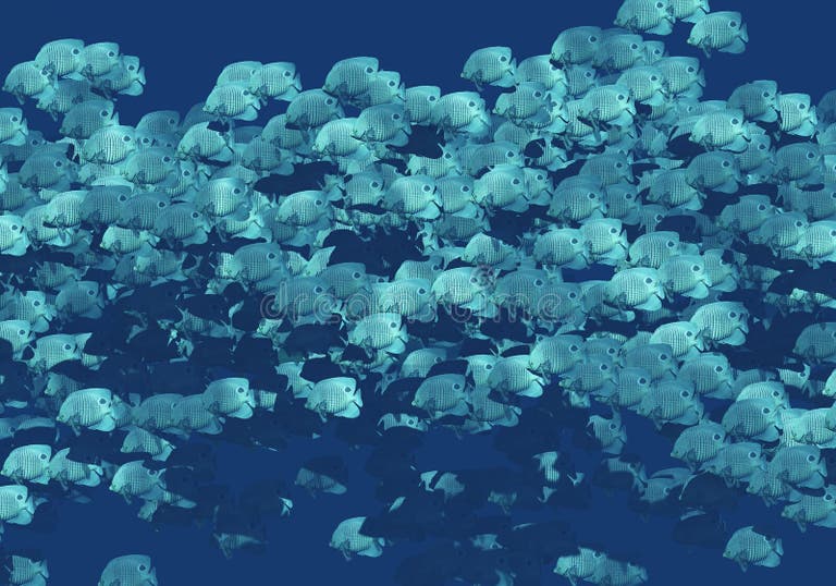 3,108 Tropical Fish Aquarium Backdrop Stock Photos - Free & Royalty ...