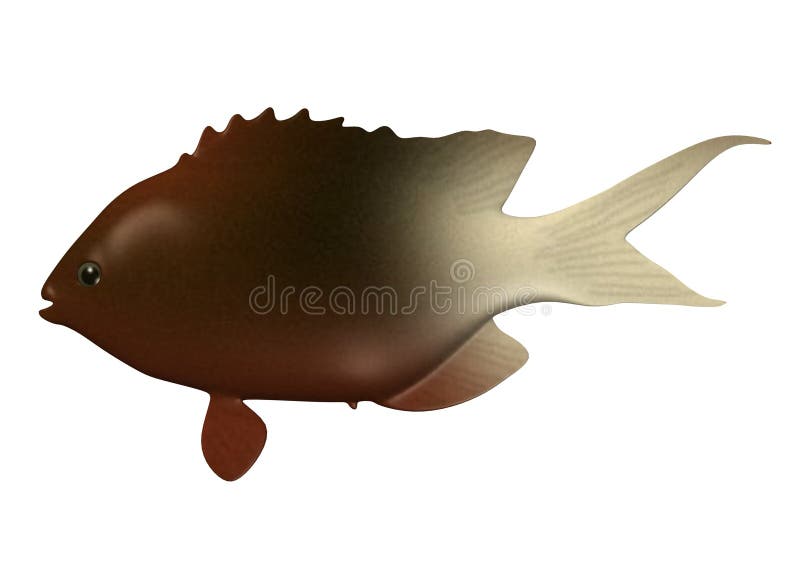 Tropical Fish - Dark and Light Brown Color Stock Illustration ...