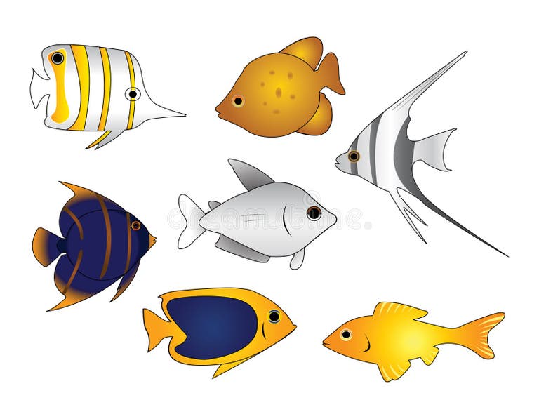 Tropical Fish Vector Art Stock Illustrations – 49,282 Tropical Fish ...