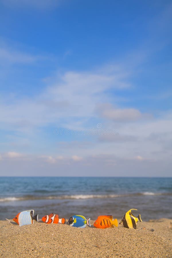 Tropical Fishes at the Beach Stock Photo - Image of travel, rotten ...