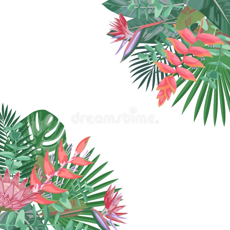Tropical Flower Angular Background Stock Vector - Illustration of ...