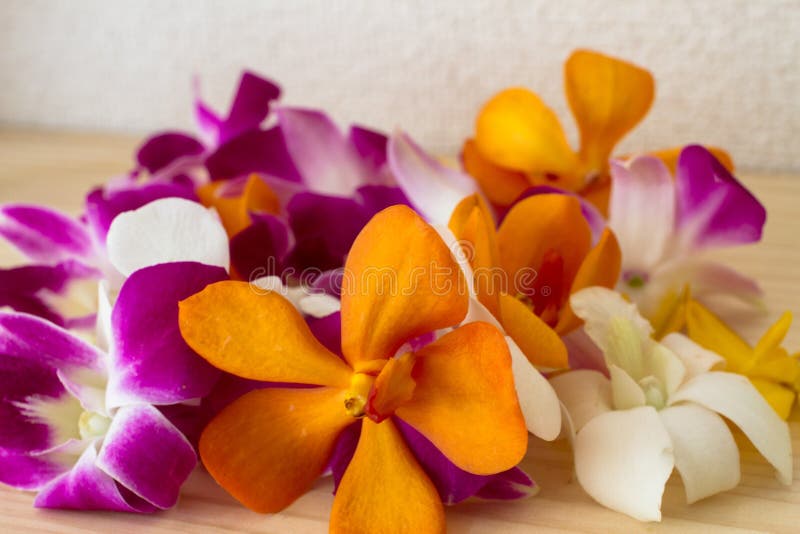 Tropical flower stock image. Image of vase, pink, beauty - 85325259