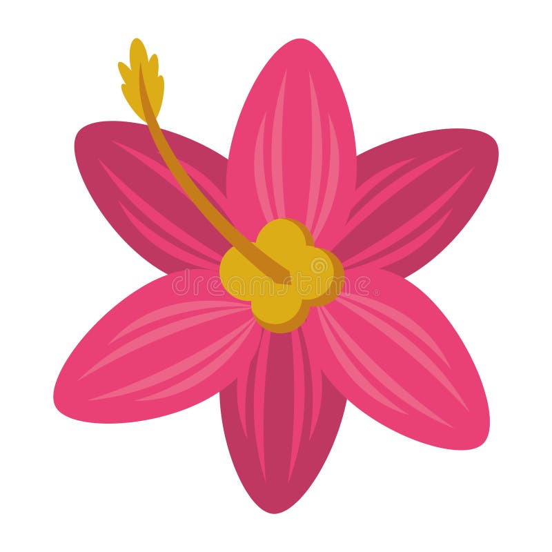 Tropical Flower Icon Cartoon Isolated Stock Vector - Illustration of ...