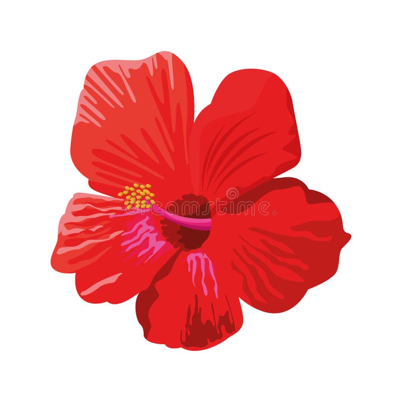 Tropical Flower Icon, Colorful Design Stock Vector - Illustration of ...