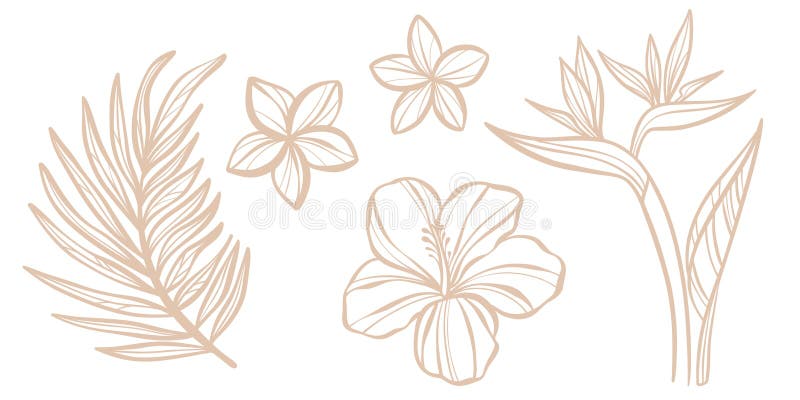 Tropical Flower Line Art Illustration Set, Isolated Doodles, Hand Drawn ...