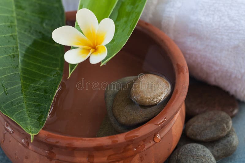 Tropical Flower and Spa Objects for Relax and Healthy Massage Stock ...