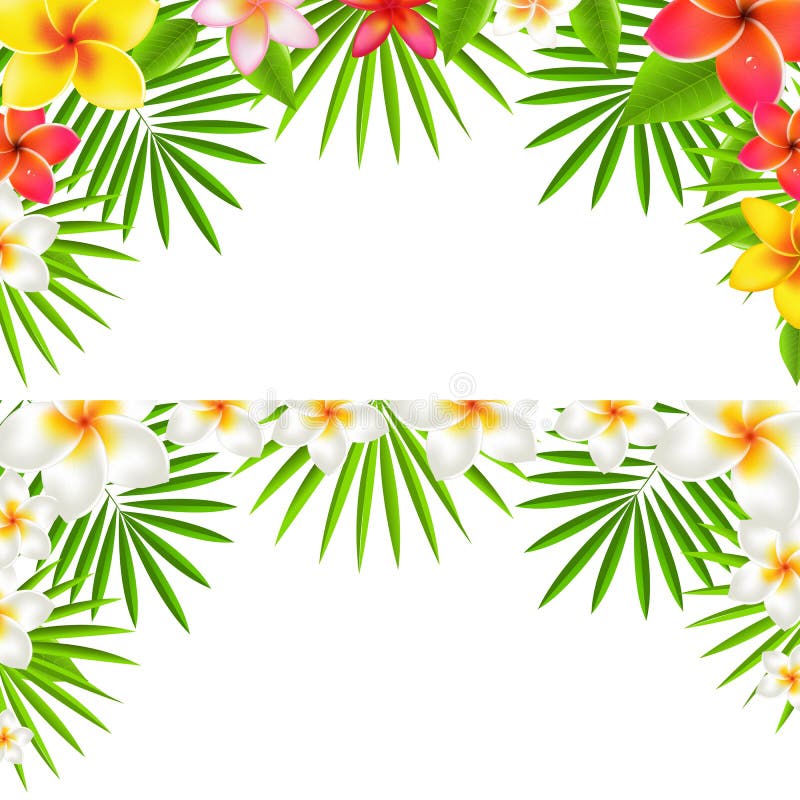 Tropical Flowers Border Set Stock Vector - Illustration of bali, beauty ...