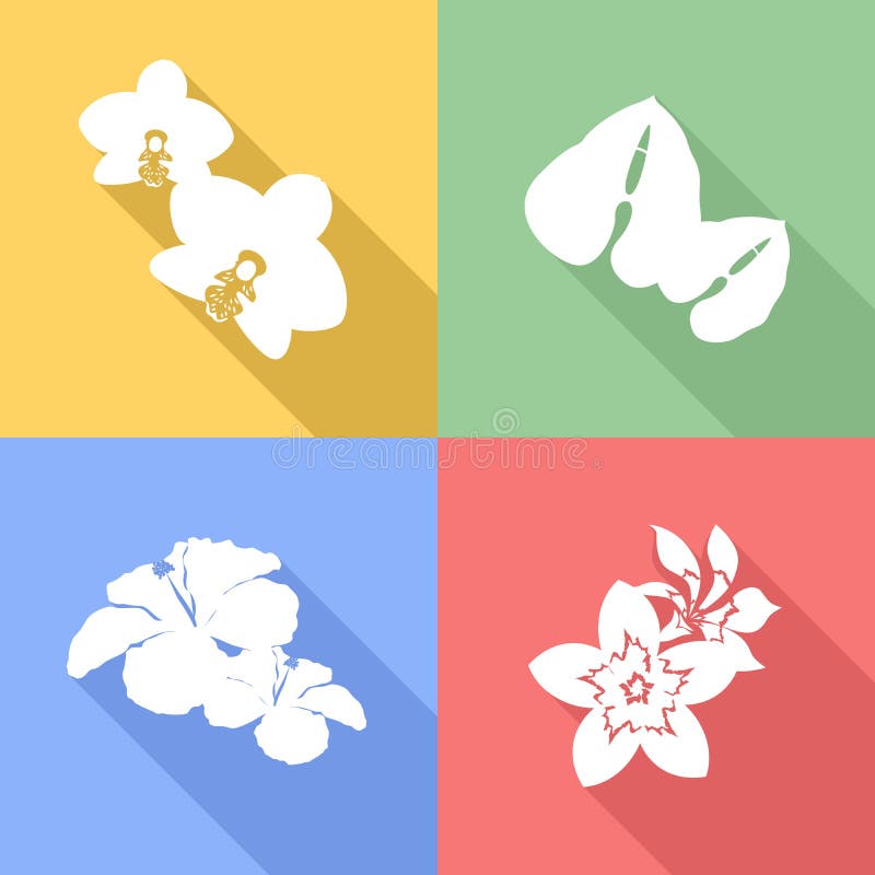 Tropical flowers icons stock vector. Illustration of graphics - 70496630