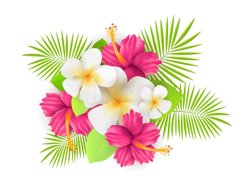 Tropical Flowers with Leaves Stock Vector - Illustration of decoration ...