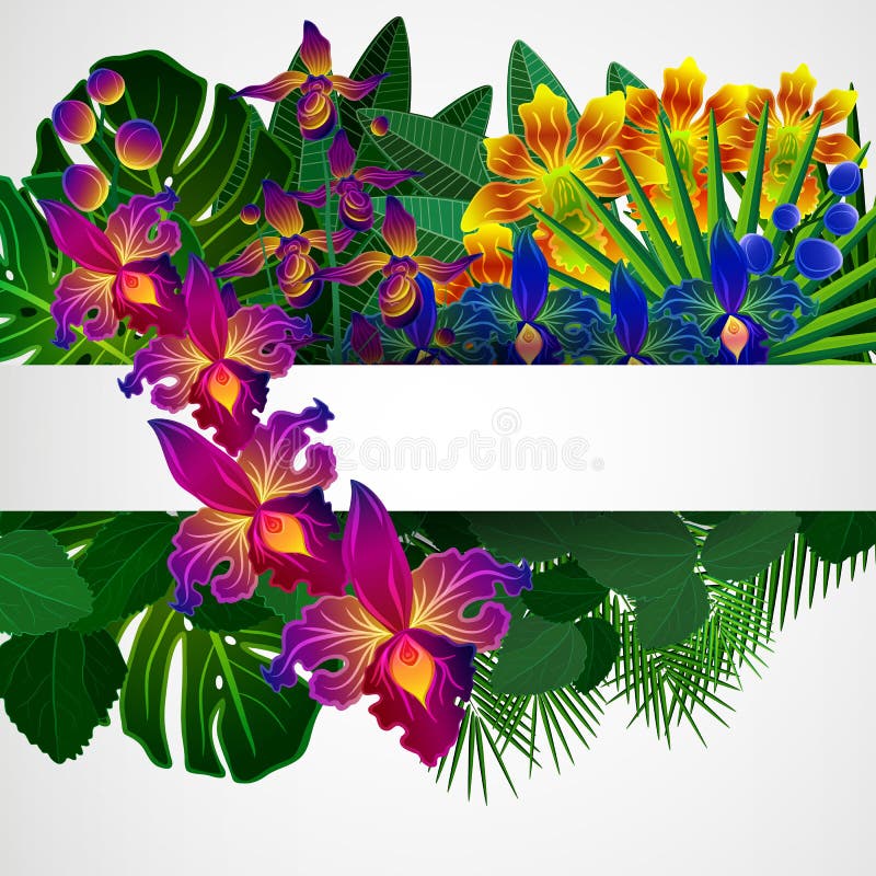 Tropical Flowers and Leaves. Floral Design Background Stock Vector ...