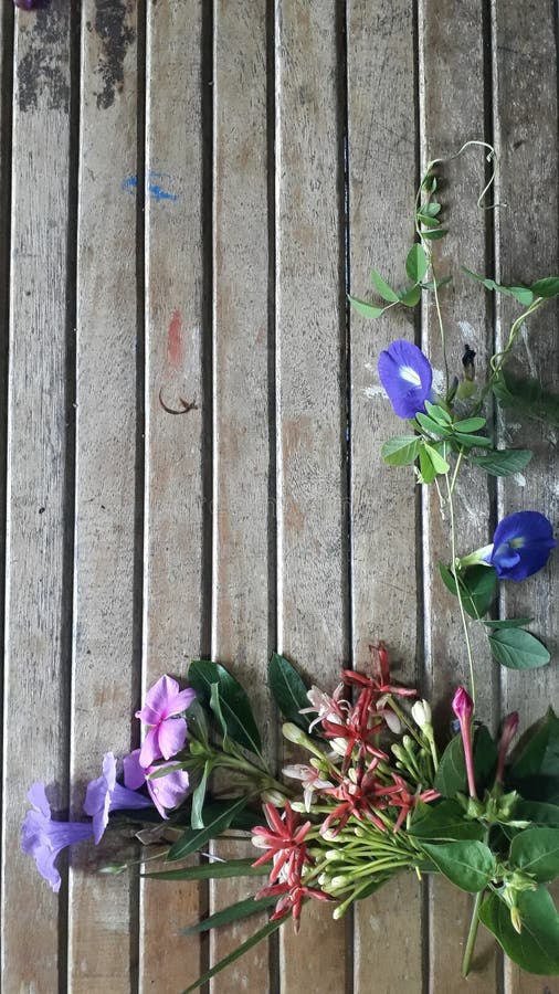Tropical Flowers on Rustic Wood Stock Image - Image of flowers, leaf ...