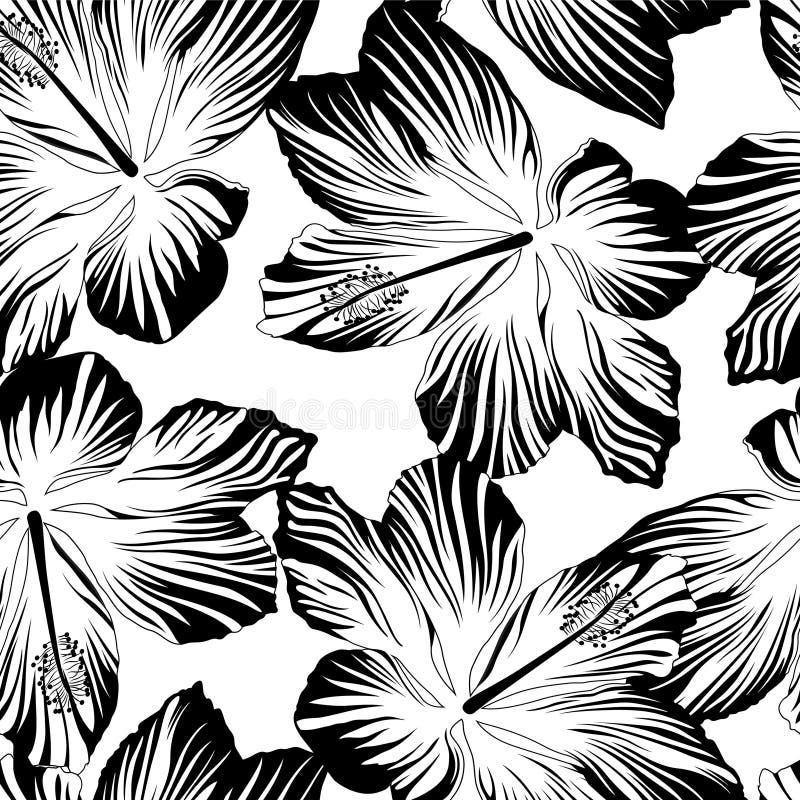 Hawaiian Flowers Black And White Tropical And Leaves Hawaiian Flower