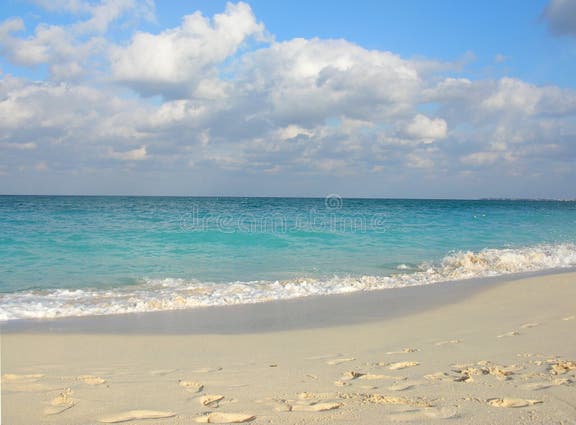 Tropical footprints stock photo. Image of cayman, blue - 16007754