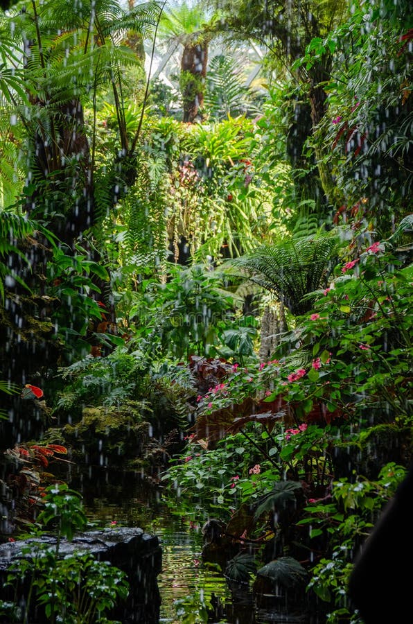 Tropical Forest in Cloud Forest at Garden by the Bay Stock Photo ...