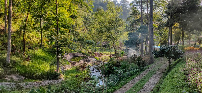 Coban Sadang Stock Photos - Free & Royalty-Free Stock Photos from ...