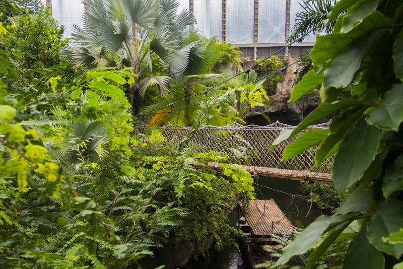 Tropical Forest Exhibit at Leipzig Zoo Stock Photo - Image of house ...