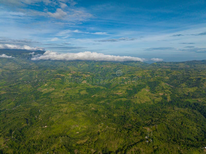 Tropical Forest in Mountain Province in the Philippines. Stock Image ...