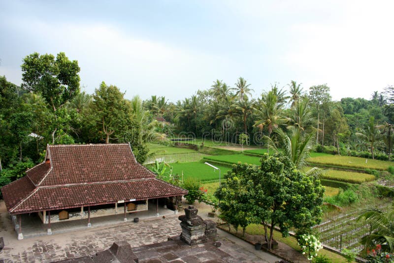 Tropical Forest Segment, East Java, Indonesia Editorial Photo - Image ...