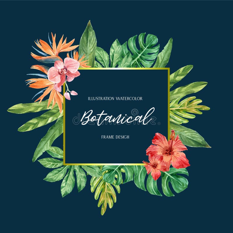 Tropical Frame Border Design Summer With Plants Foliage Exotic Creative Watercolor Vector