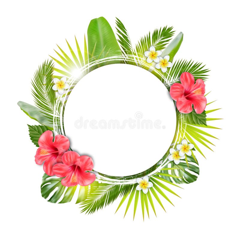 Tropical Frame Border. Vector Stock Illustration - Illustration of ...