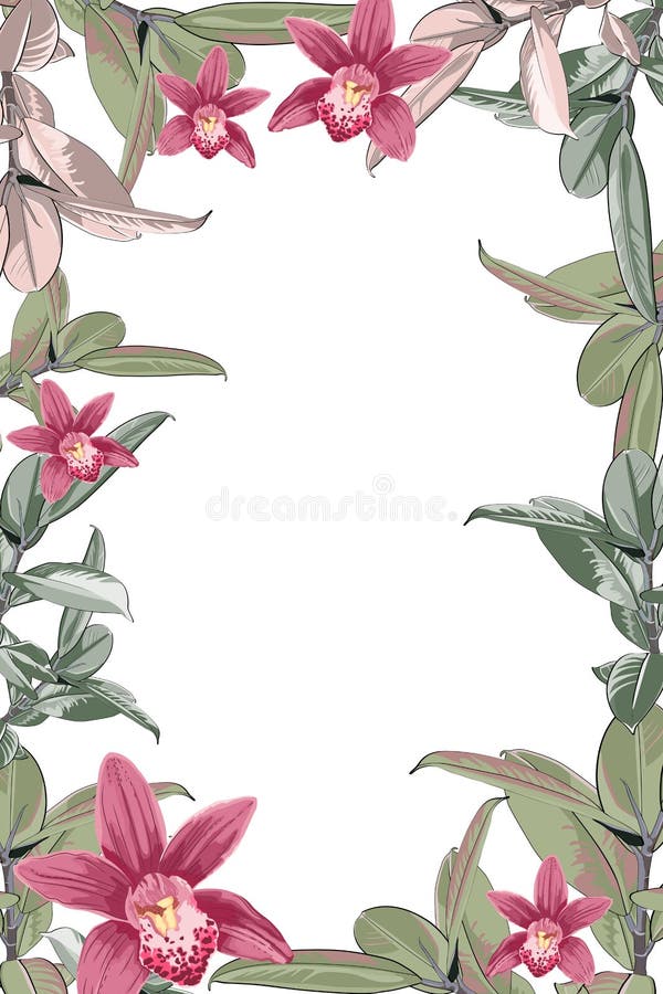 Elastic Frame Stock Illustrations – 437 Elastic Frame Stock ...