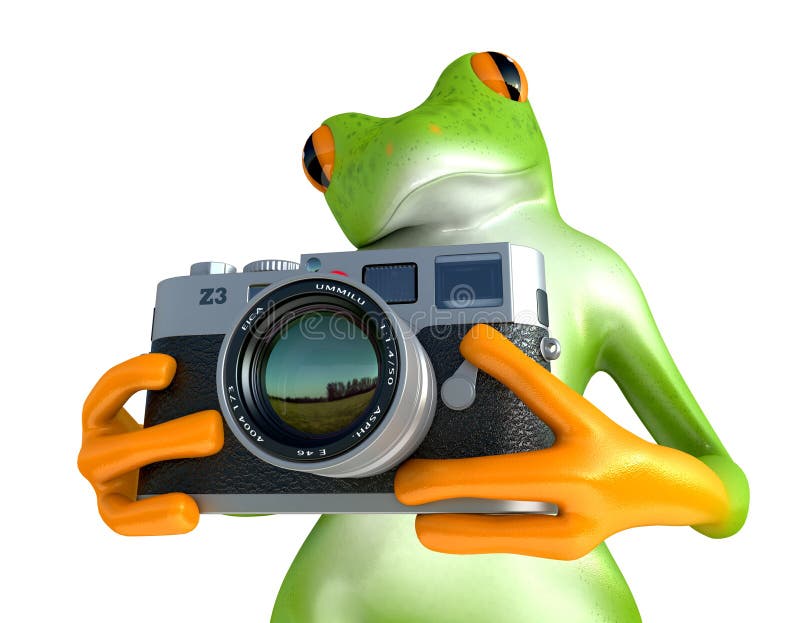 Tropical posing frog stock illustration. Illustration of jump - 63234003