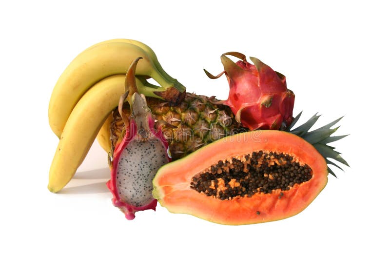 Tropical fruit stock photo. Image of harvest, tropical - 5545138