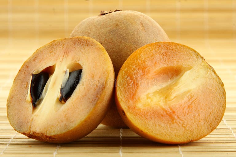 Tropical Fruit-Chikoo stock photo. Image of agricultural - 42420202