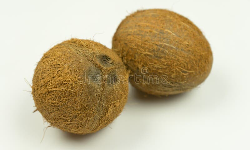 Tropical Fruit Coconut Isolated, Background Stock Photo - Image of ...