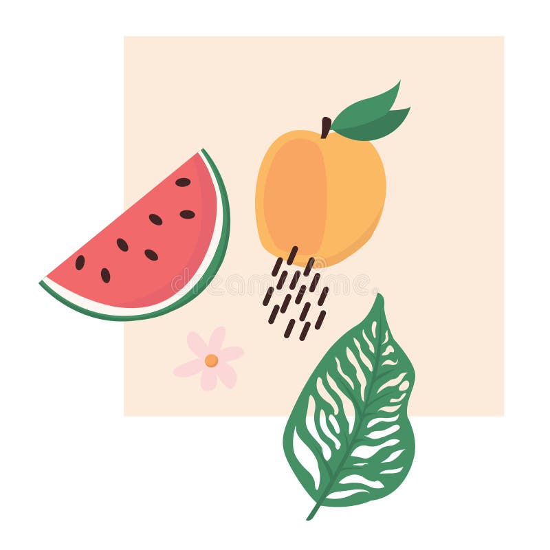 Tropical fruit composition stock vector. Illustration of fresh - 253885997