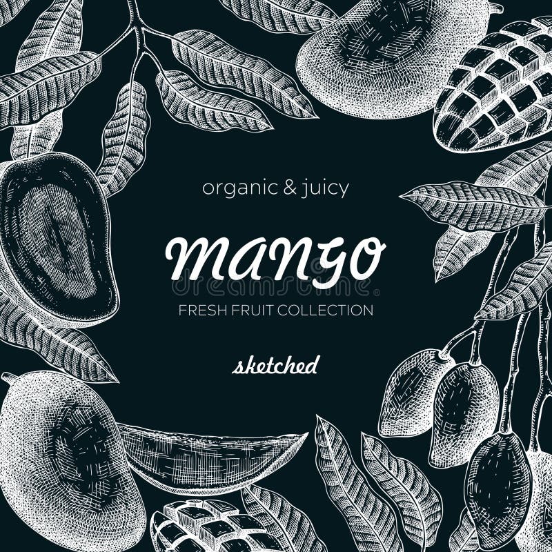 Tropical Fruit Frame on Chalkboard. Ripe Mango Sketch. Hand Drawn ...