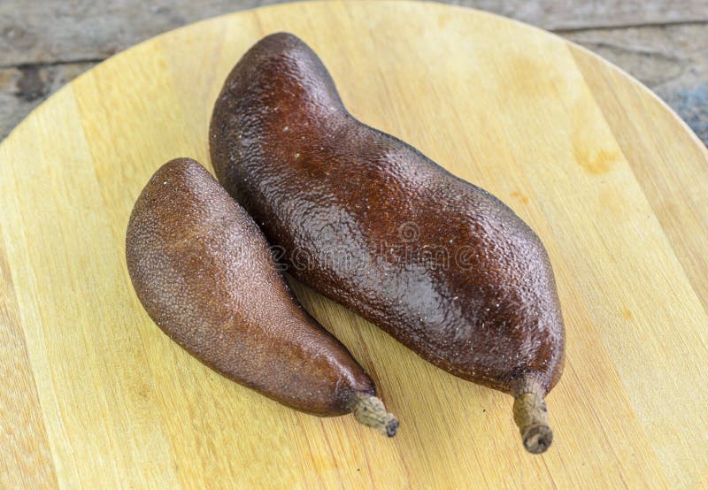 Open Jatoba Fruit and Seed - Seecourbaril or Brazilian Copal Stock ...