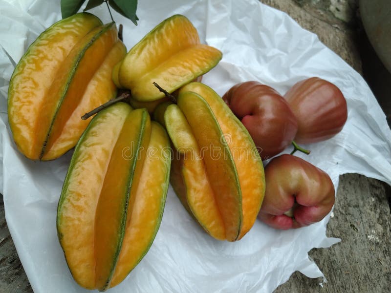 Tropical fruit on load stock image. Image of tomato - 222029435