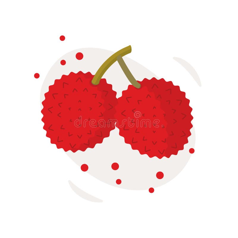Lychee Fruit Flat Vector Illustration Stock Illustrations – 520 Lychee ... Lychee Fruit Flat Vector Illustration Stock Illustrations – 520 Lychee ...