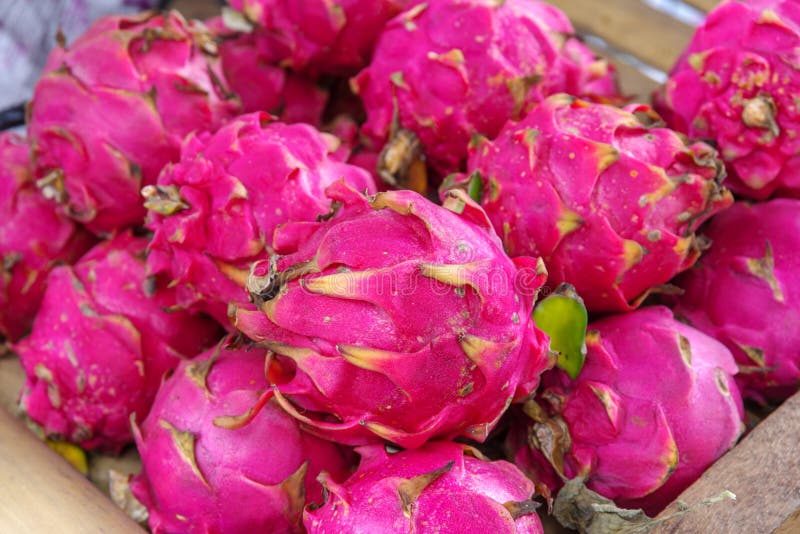 Tropical Fruit Pitaya& X28;Red Dragon Fruit& X29; Stock Image - Image ...