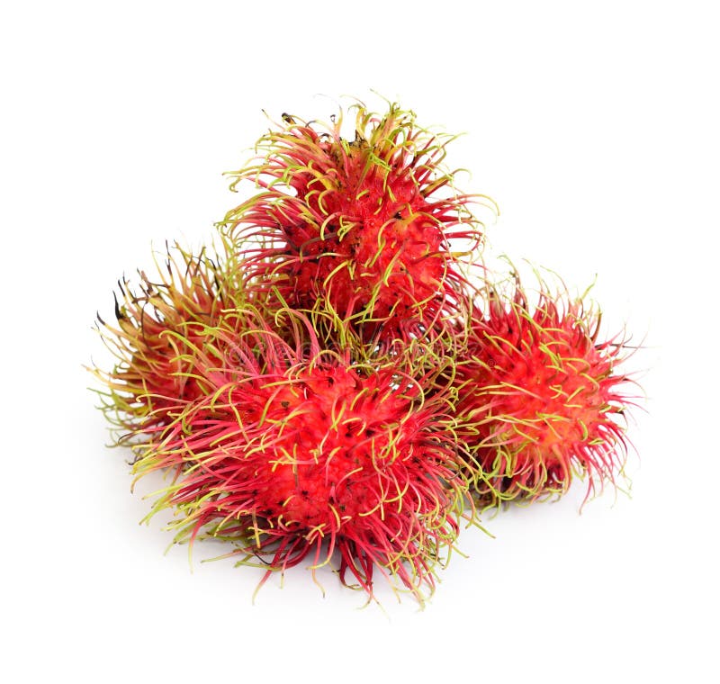 Fruit Rambutan Indonesian Asian Stock Image - Image of fruit, rambutan ...