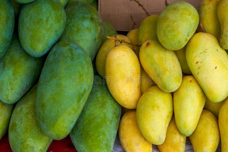 Tropical Fruit, Ripe Red Mango Close-up Stock Image - Image of tropical ...