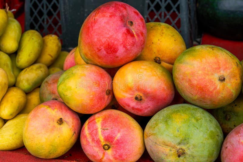Tropical Fruit, Ripe Red Mango Close-up Stock Image - Image of apple ...