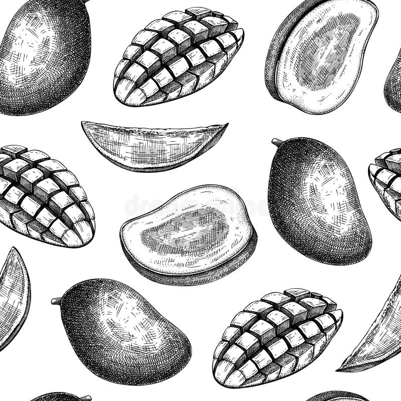 Tropical Fruit Seamless Pattern. Ripe Mango Sketch. Hand-drawn Vector ...