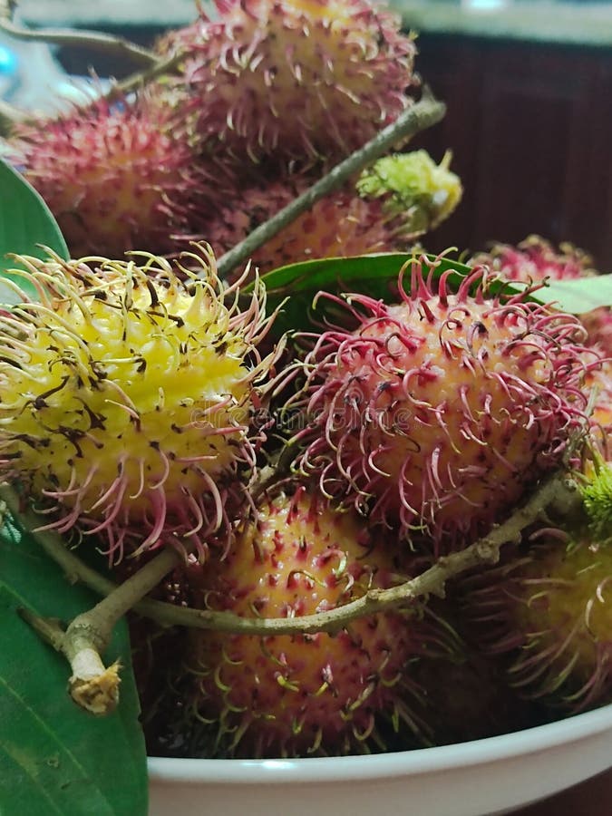 Tropical Fruit, Taste Light Sweet and Yummy Stock Image - Image of ...