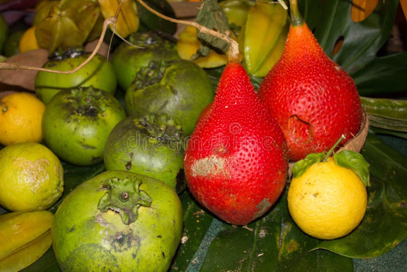 1,806 Florida Fruit Tropical Photos - Free & Royalty-Free Stock Photos ...