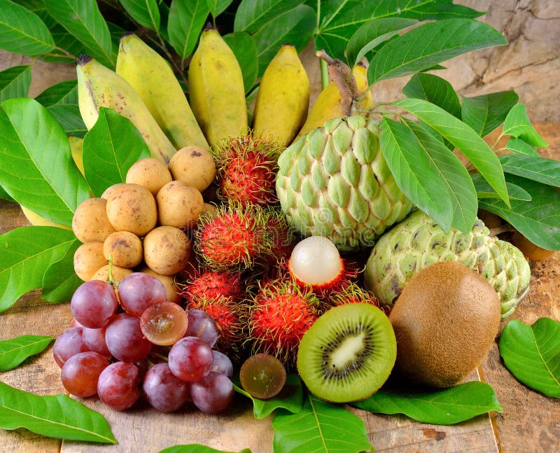 Tropical Fruits Collection. Stock Image - Image of kiwi, agriculture ...