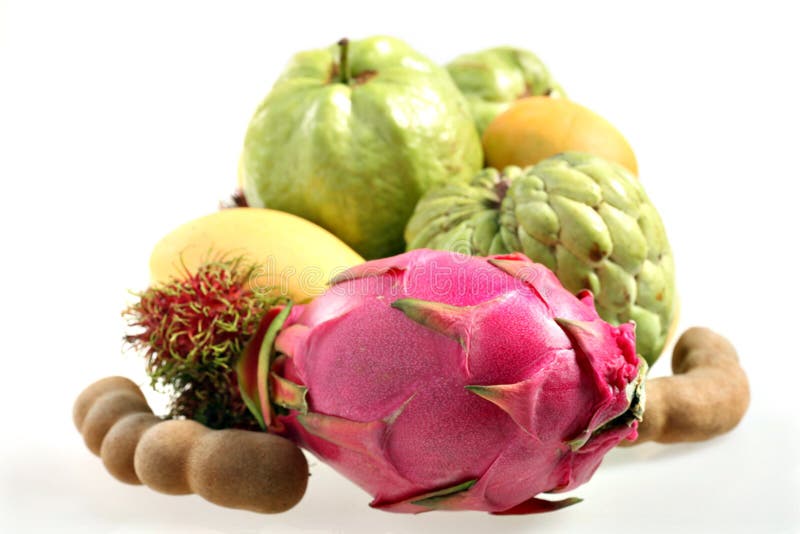 Tropical fruits front view stock photo. Image of healthy - 11180790