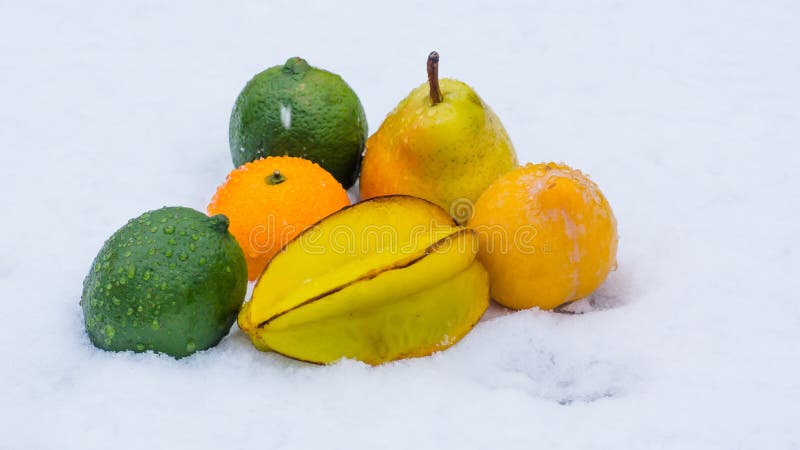 Tropical Fruits on the Snow Stock Photo - Image of fruits, grow: 93438398