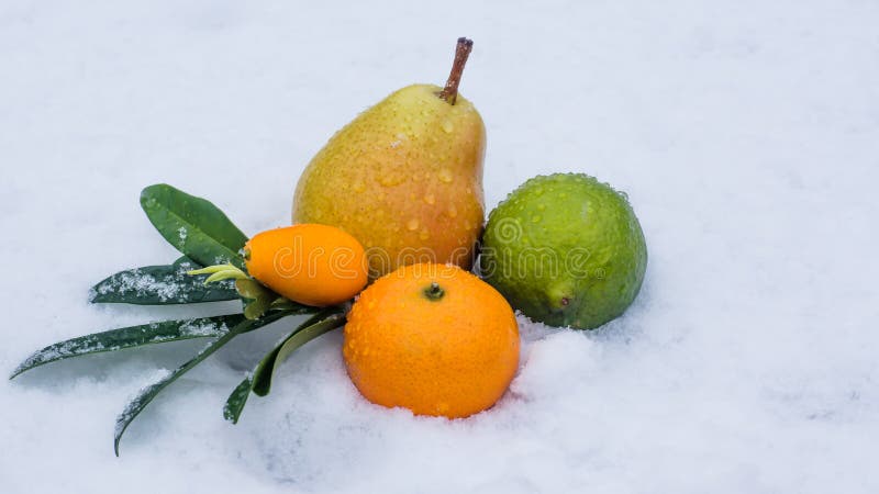 Tropical Fruits on the Snow Stock Photo - Image of ingredient, fresh ...