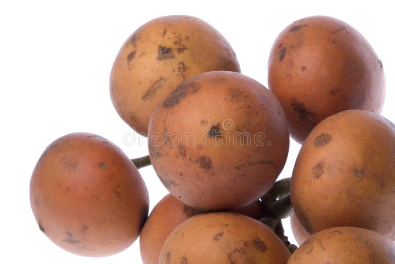 Tropical Fruits Tampoi Isolated Stock Photo - Image of nature, fruits ...
