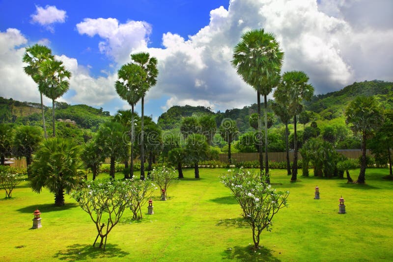Tropical garden stock image. Image of botany, clouds - 11966817